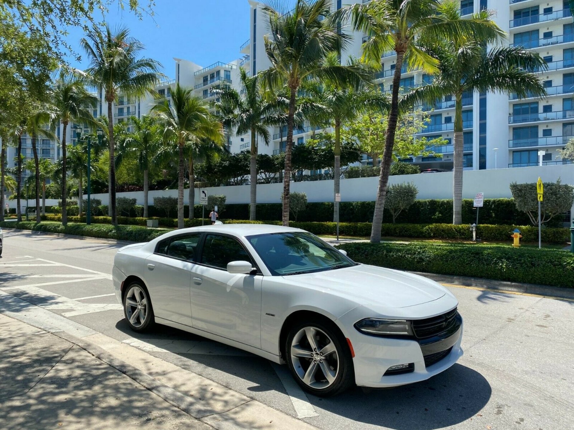 2016 Dodge Charger R\T 5.7 Hemi // Buy Cars on GBChoice
